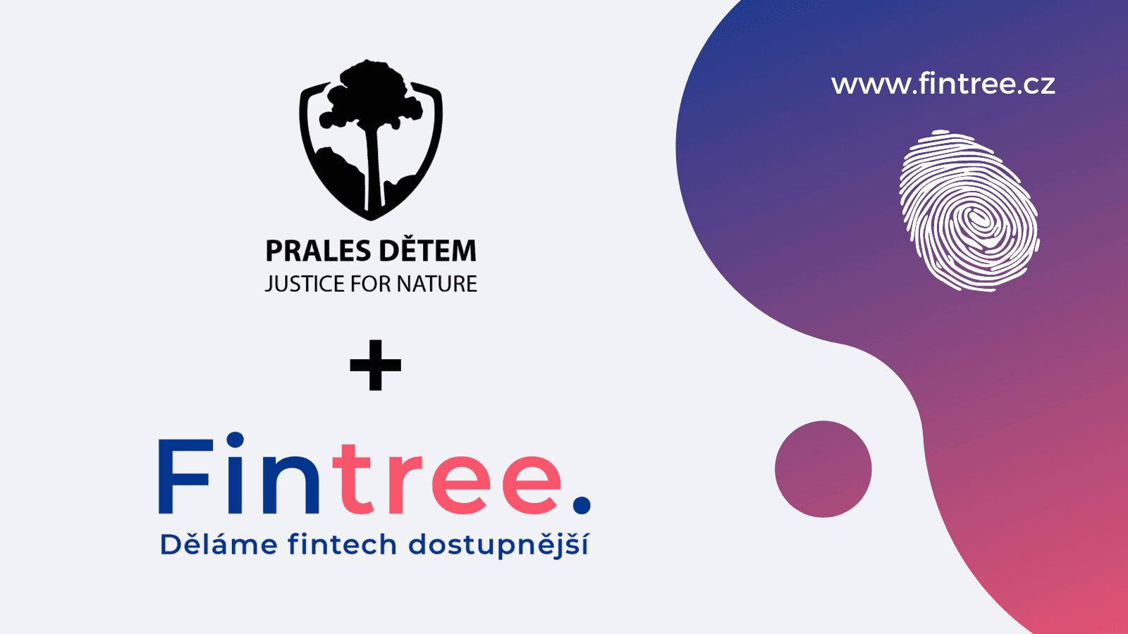 Fintree bude díky organizaci Prales dětem sázet stromy - Fintree